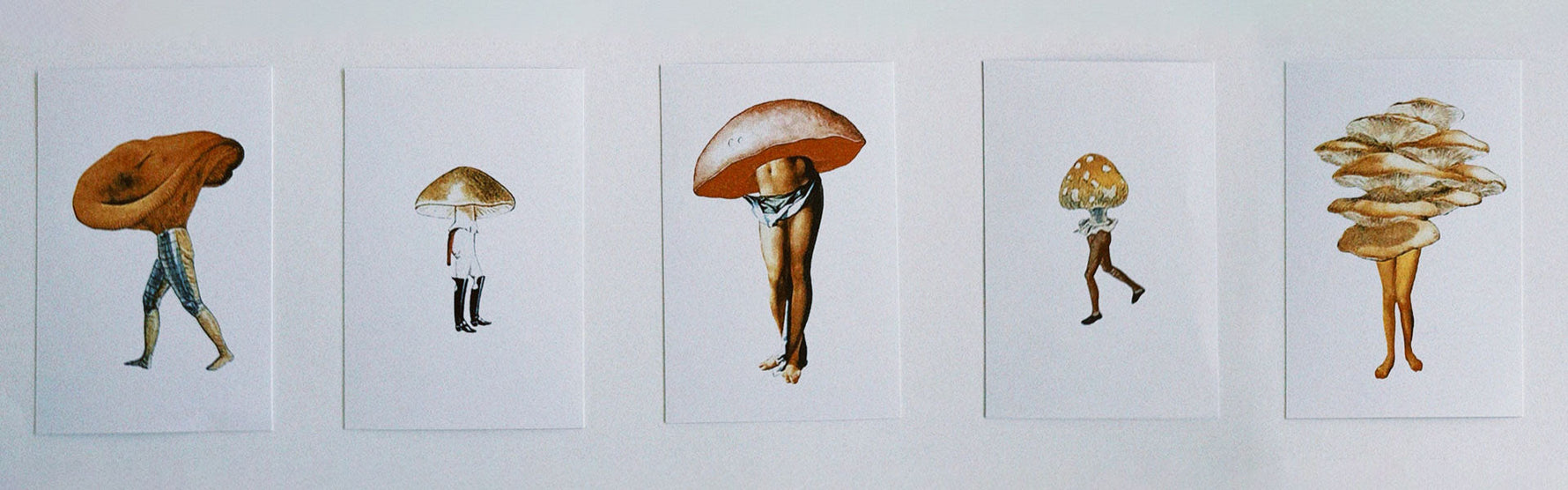 Artist collaboration Amy Ross | Thinking MU – THINKING MU APAC